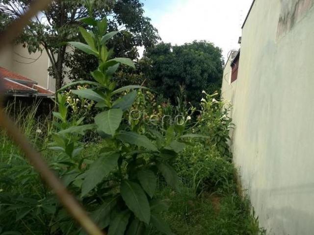 terreno à venda no Jardim Proença I Campinas