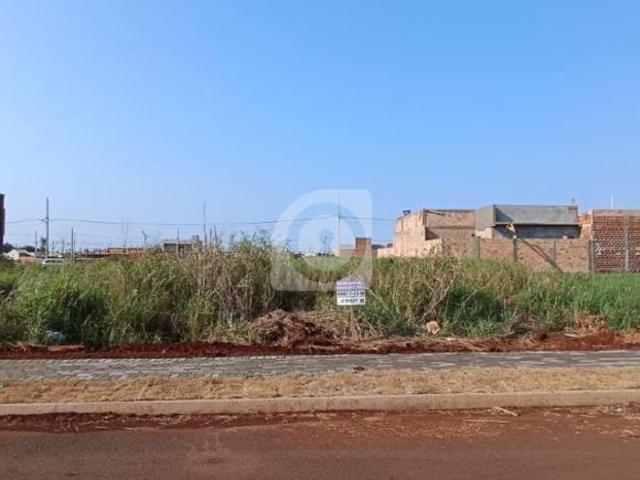 Terreno à venda no Loteamento Vila Madalena em Foz do Iguaçu