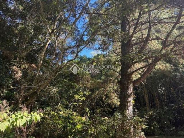 Terreno a venda no Loteamento Colinas de São Francisco