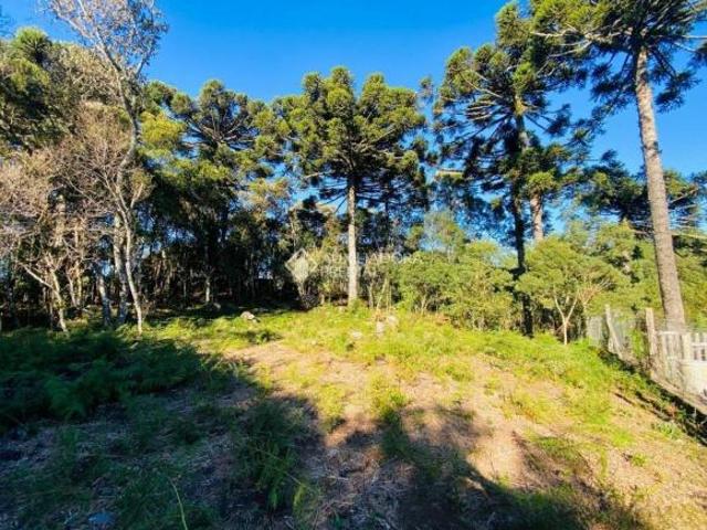 Terreno a venda no loteamento colinas