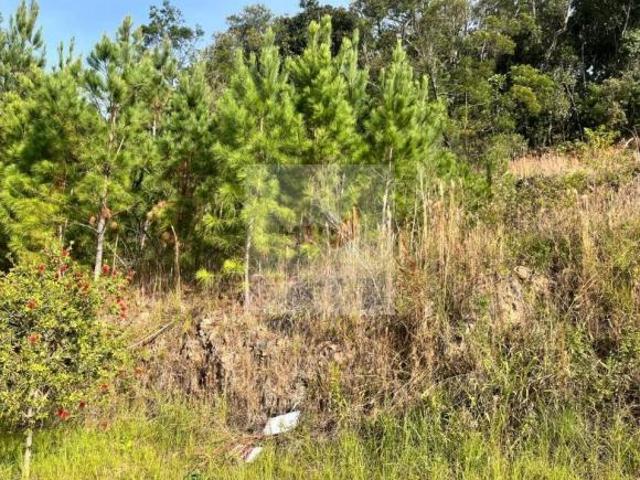 Terreno à Venda no Loteamento Horizonte Bavária Nova Petrópolis | Lote Residencial 387m²