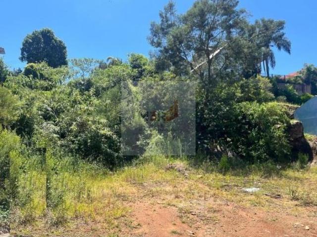 Terreno à Venda no Logradouro Nova Petrópolis | 363m² Pronto para Construir | Localização Nobre