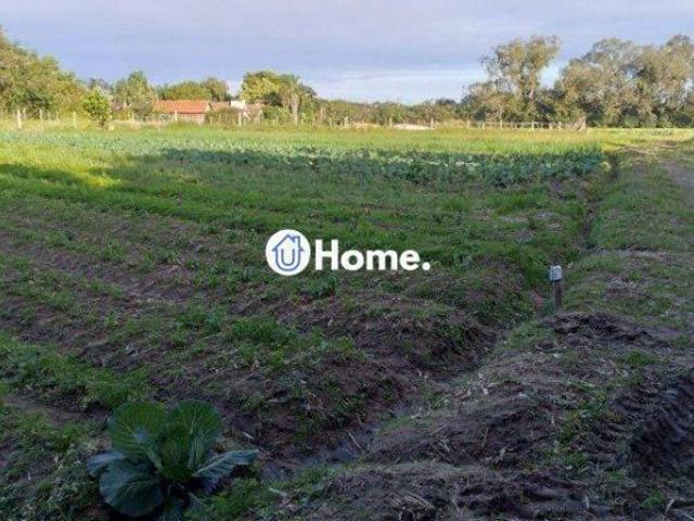 Terreno à venda no Lageado
