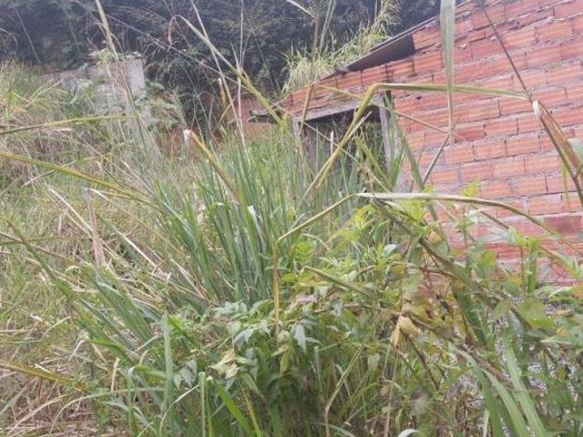 Terreno à venda no Morumbi, São Paulo