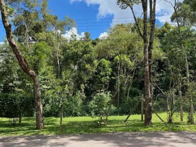 Terreno à venda no São Lourenço ARYA1