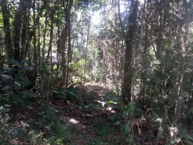 Terreno a venda no Somma Ribeirão Pires 5 Dorms