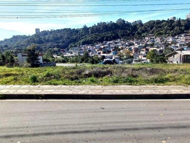 Terreno à venda em Santa Catarina, Caxias do Sul