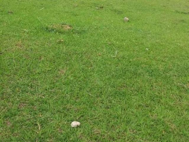 Terreno à venda no Santa Claudina em Vinhedo/SP