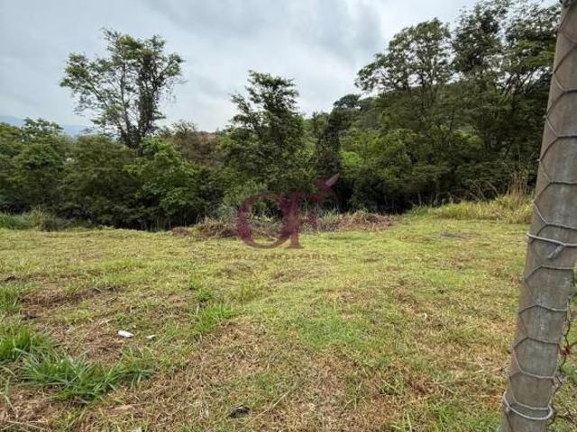 Terreno à Venda no Santa Gertrudes – 125m² e Projeto de 158m² Aprovado