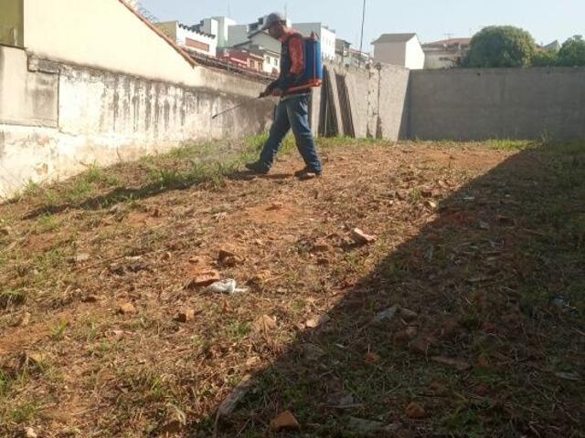 Terreno a venda no Santa Maria Santo André 3 Dorms
