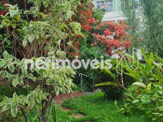 Terreno à Venda no Santa Tereza com 3 Casas construidas Área total de 883 m²
