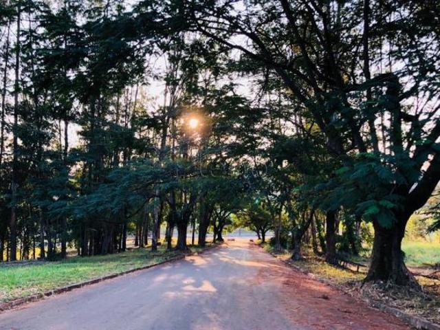 Terreno à venda no Swiss Park, Campinas