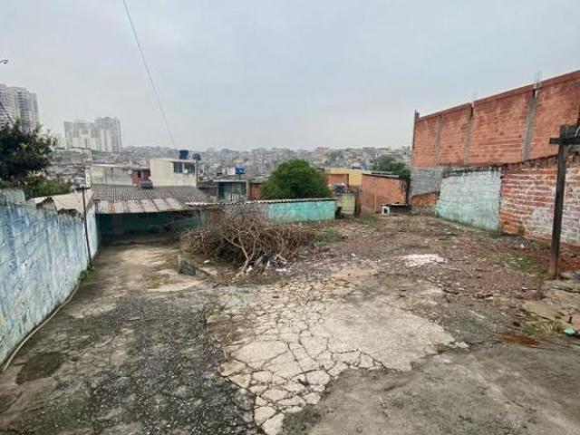 Terreno A Venda No Padroeira
