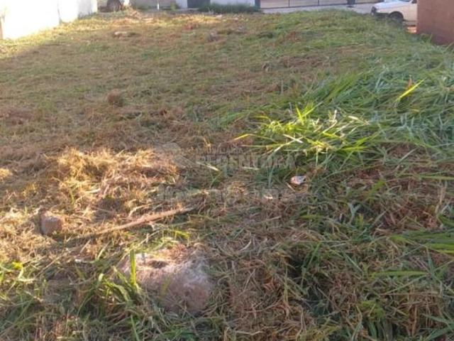 Terreno a venda no Parque das Amoras II com 242 m² 11 x 22, quitado e escriturado, pronto para con