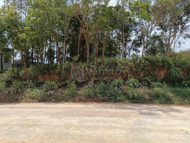 Terreno à venda no Parque Embu