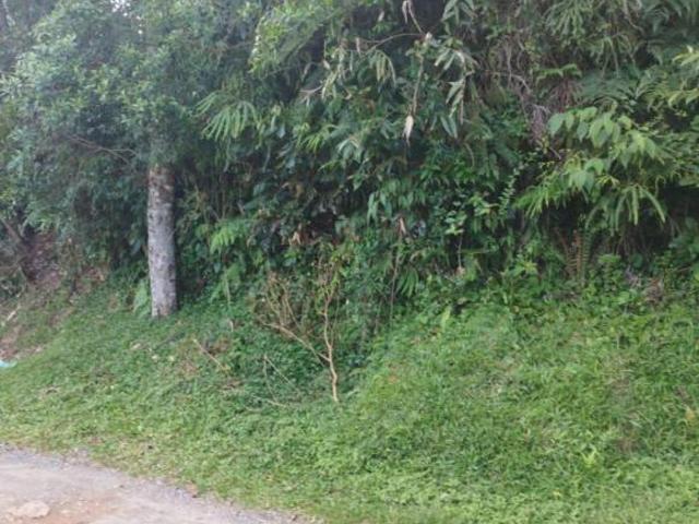 TERRENO A VENDA NO PARQUE FLORESTAL EM PARELHEIROS