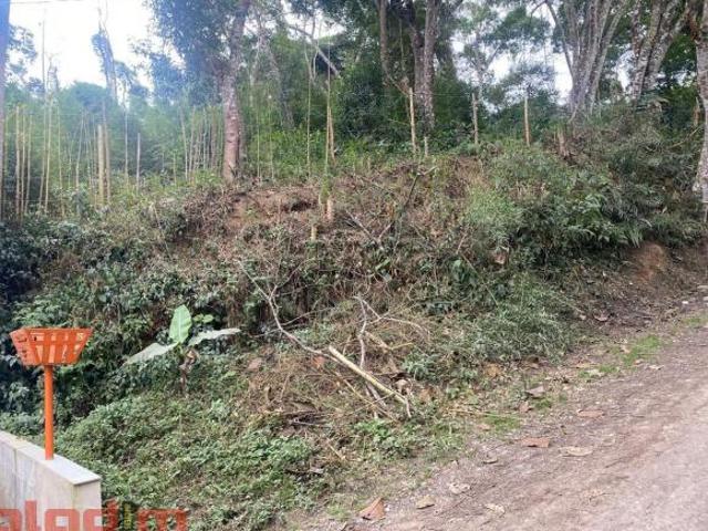 TERRENO A VENDA NO PARQUE FLORESTAL PARELHEIROS