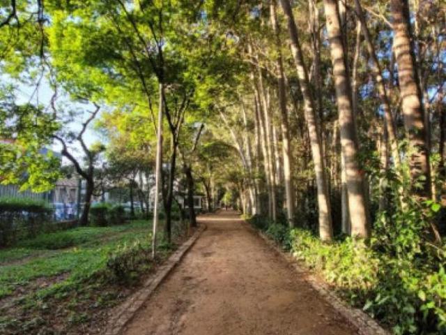 TERRENO À VENDA NO PARQUE PIQUERI 2.930 m² ZONA MISTA ZM EXCELENTE OPORTUNIDADE PARA INCORPORAÇÃO