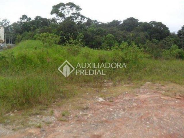 Terreno à Venda no Parque São Vicente, Mauá