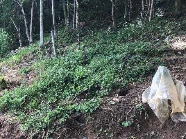 TERRENO À VENDA NO PEREQUÊ EM ILHABELA SP