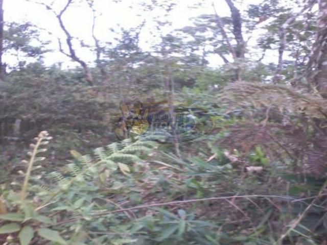 Terreno a venda no Royal Park SBC