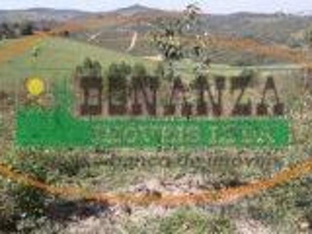 Terreno à venda no Rancho Novo