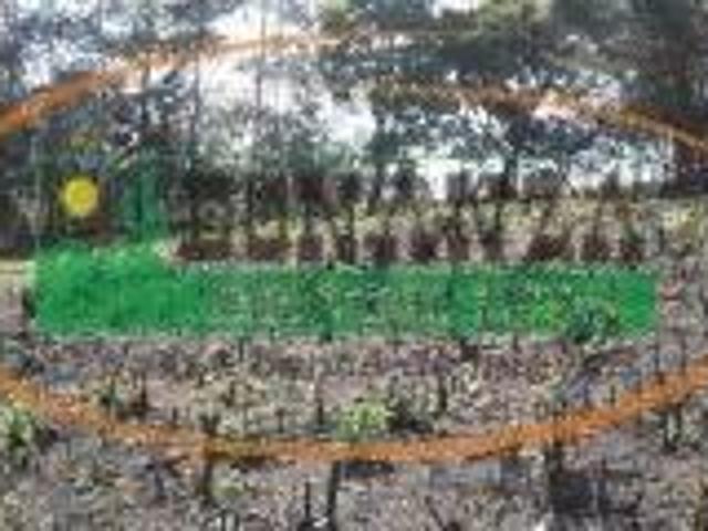 Terreno à venda no Rancho Novo
