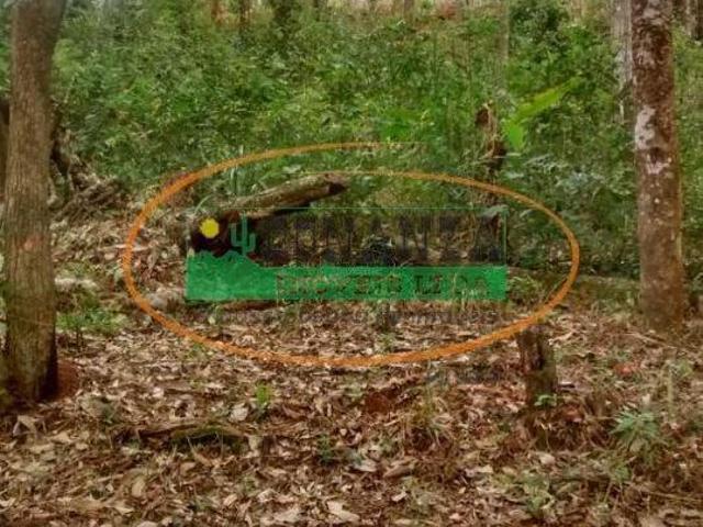 Terreno à venda no Residencial Dom Bosco