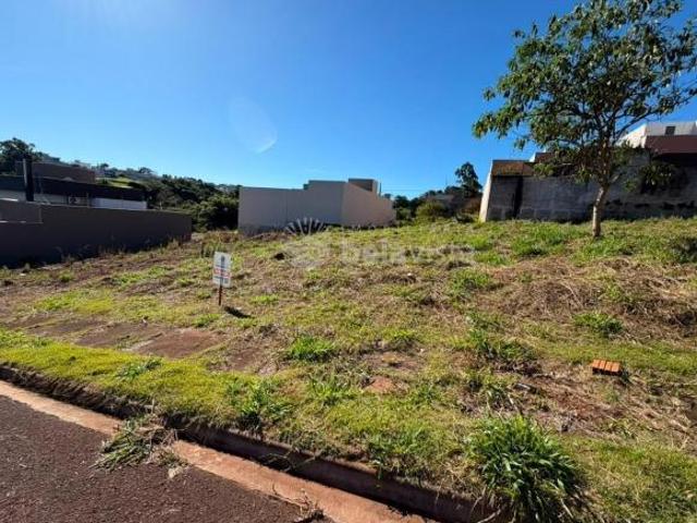 TERRENO À VENDA NO RESIDENCIAL TOZZI EM ARAPONGAS