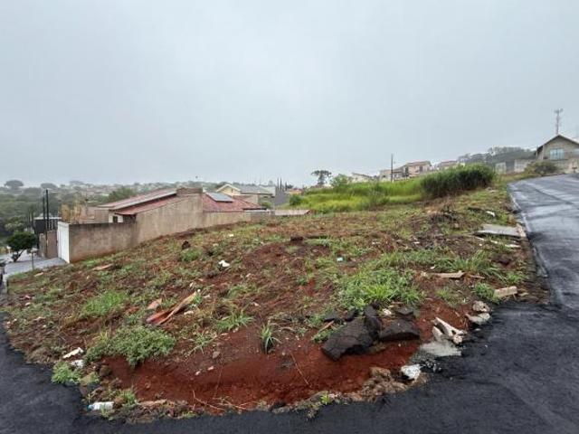 TERRENO À VENDA NO RESIDENCIAL VILLÁGIO DI ROMA EM APUCARANA