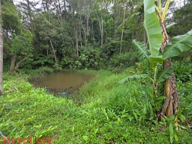 TERRENO A VENDA NO VILA ROSCHEL PARELHEIROS