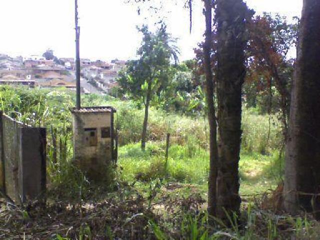 Terreno à venda na Chácara Cotia