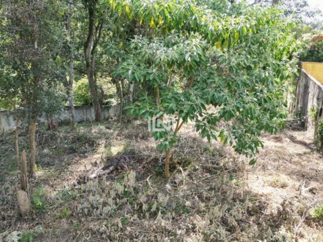 Terreno à venda na Chácara Rincão