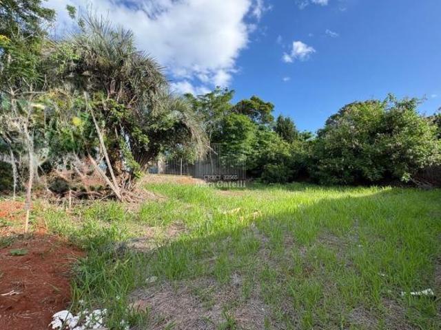 Terreno à venda na Cidade Alta de Santo Antônio da Patrulha RS Oportunidade única!