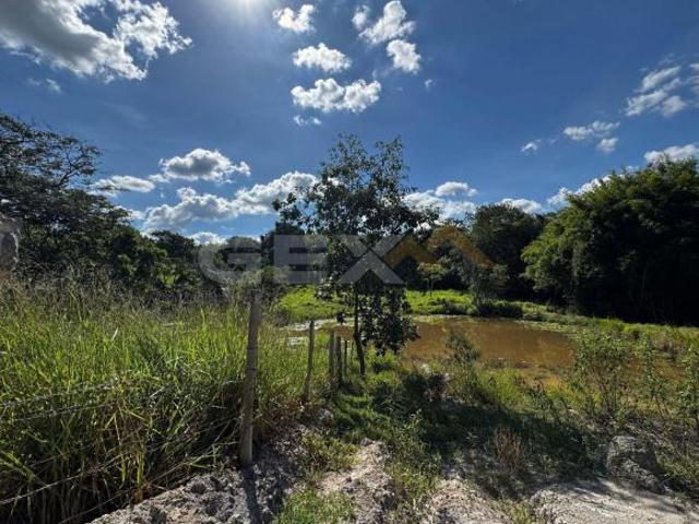 Terreno à venda na área rural de São Gonçalo do Pará com 4,5 ha