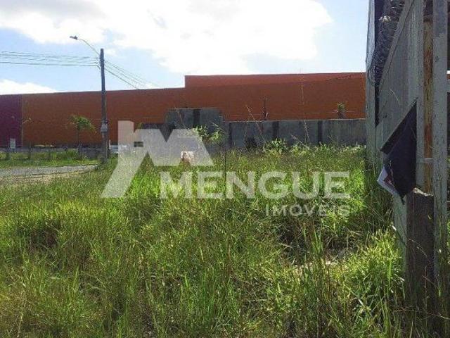 Terreno à venda na Bela Vista
