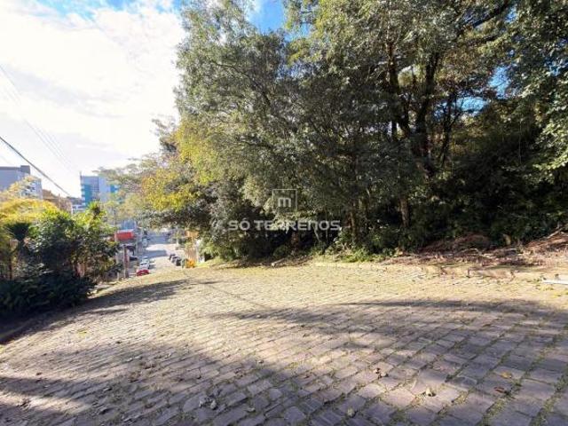 Terreno à venda na Bela Vista
