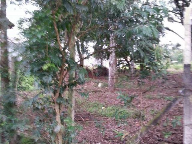Terreno a venda na Granja Viana Condominio Granja Viana II