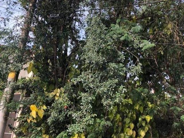 Terreno à venda na Granja Viana Recanto Verde