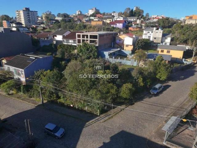 Terreno à venda na Floresta