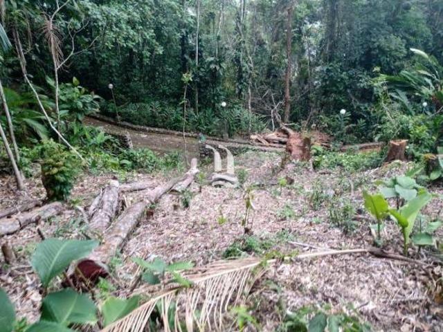 Terreno à venda na Lagoinha
