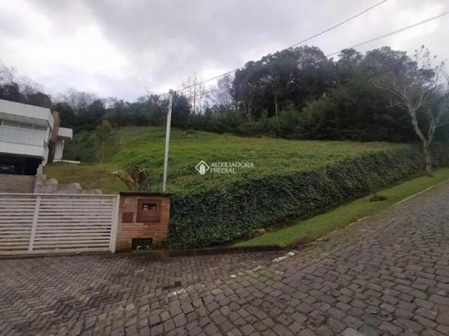 Terreno à Venda na linha 40 em Caxias do Sul