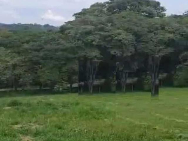 Terreno à venda na Morada das Fontes