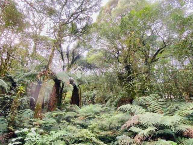 Terreno á venda na Serra Velha