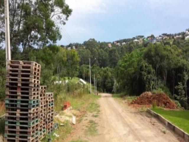 Terreno à Venda na Pousada da Neve Nova Petrópolis | 450m² Pronto para Construir em Rua Sem Saída