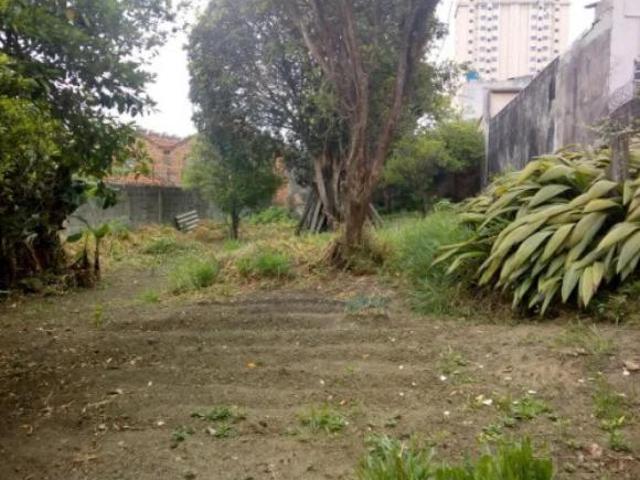 TERRENO A VENDA NA PENHA COM 1000m²