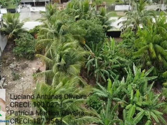 Terreno à Venda em Caraguatatuba: 1.120m² Próximo à Rodovia