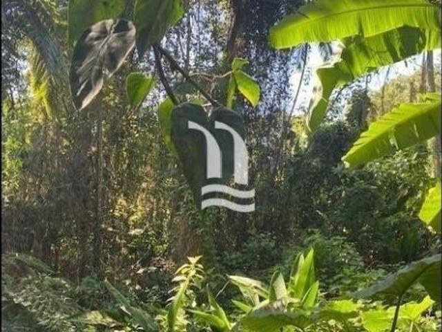 Terreno à venda na Praia de Itamambuca