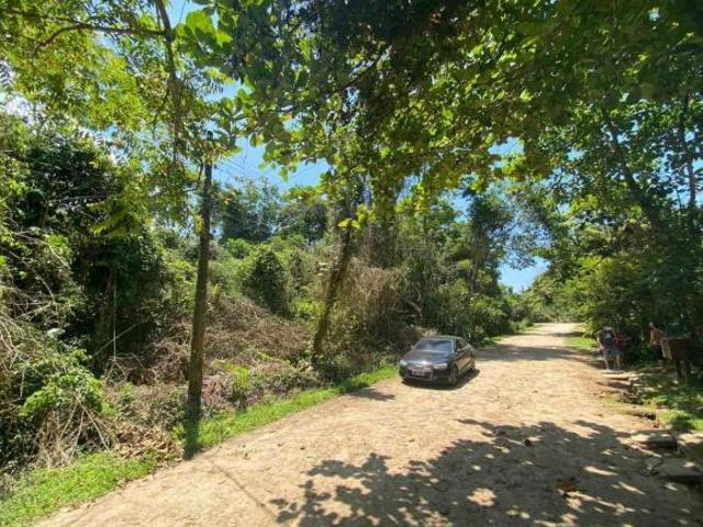 Terreno à venda na Praia de Itamambuca