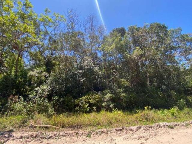 TERRENO A VENDA NA PRAIA EM ITANHAÉM